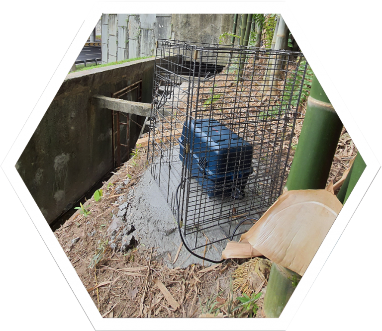 Real-Time GROUND VIBRATION Monitoring